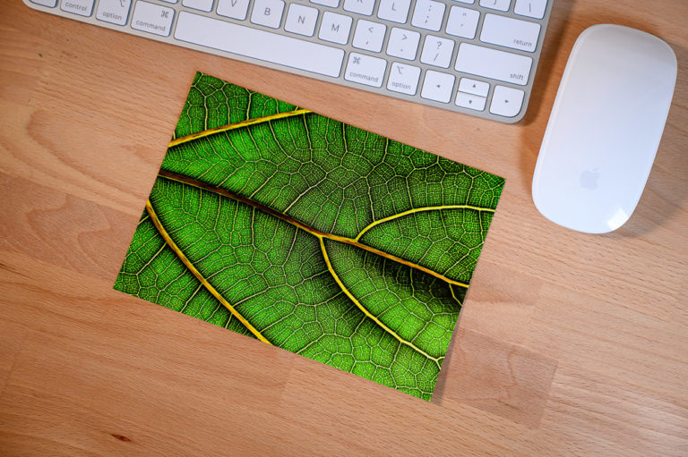 Can you print good quality photos from your iPhone? - Gabrielle ...