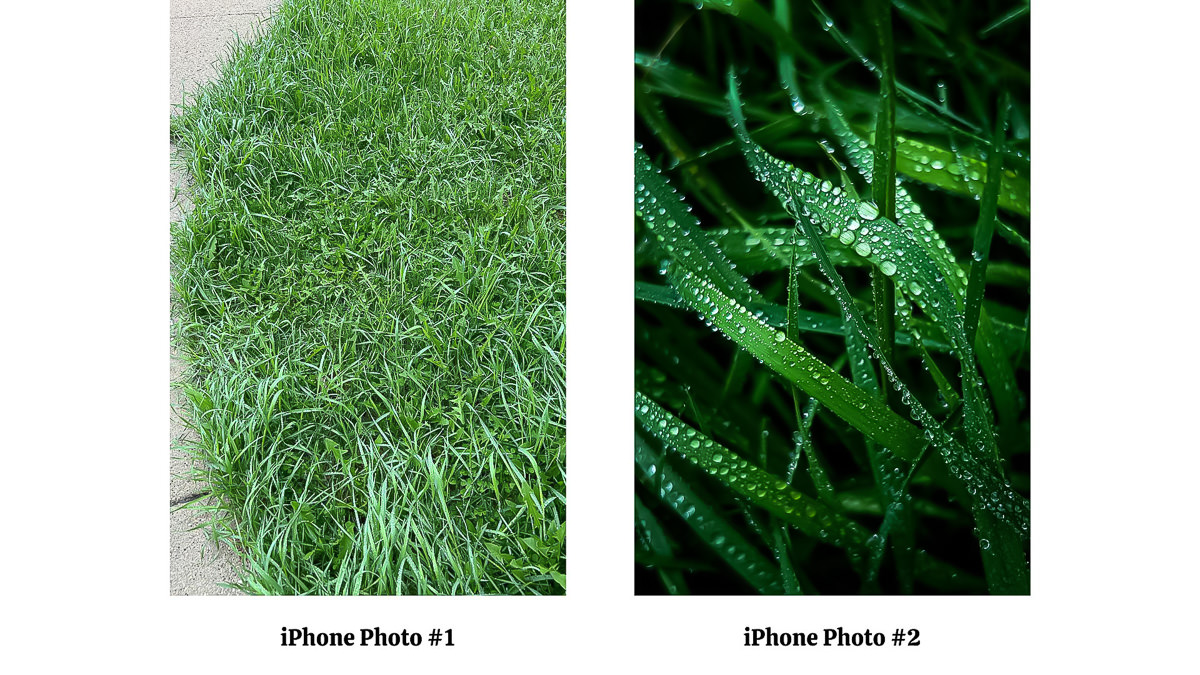 Why Your iPhone Photos Look Bad - Gabrielle Touchette Photography